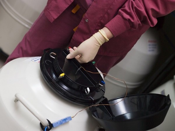 Ketahui Hal-hal yang Berkaitan dengan Transfer Embrio Beku - Alodokter