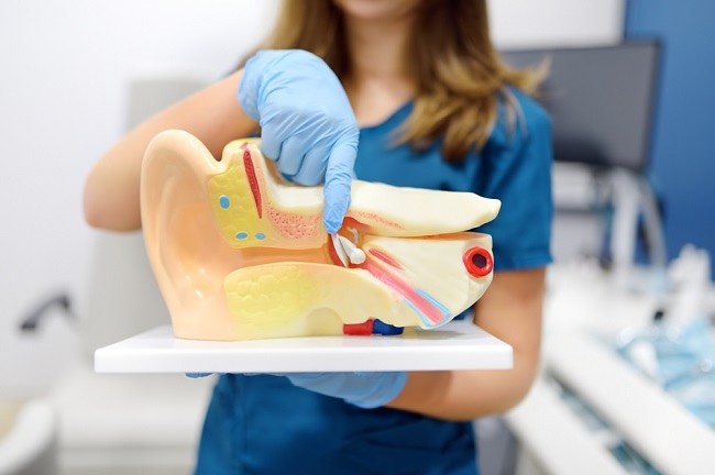 Ketahui Fungsi Gendang Telinga dan Gangguan yang Dapat Menyerangnya ...