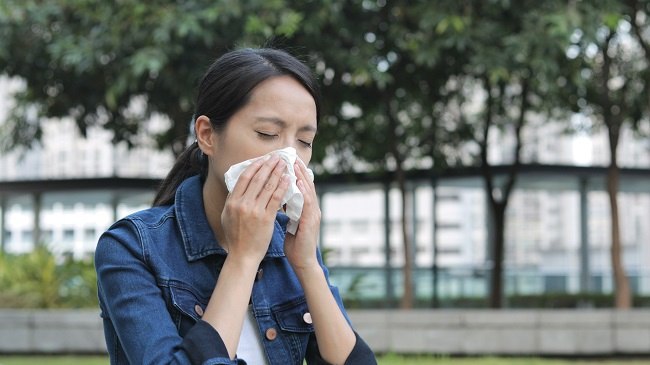 Cetirizine - Manfaat, Dosis, dan Efek Samping - Alodokter