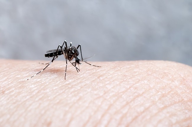 5 Obat Malaria yang Efektif di Apotik - Manfaat, Dosis, dan Efek Samping