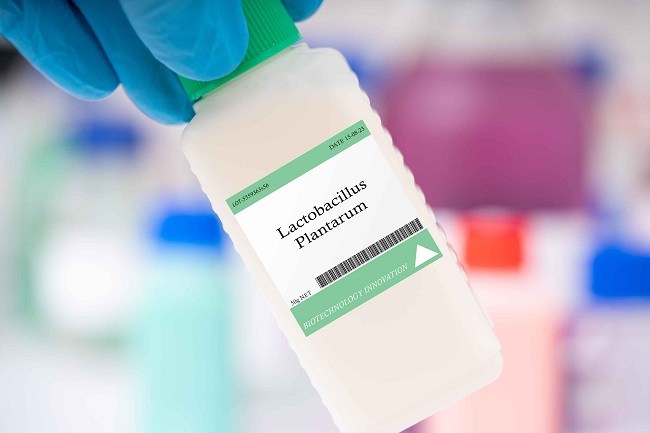 Lactobacillus plantarum - Manfaat, Dosis, dan Efek Samping - Alodokter