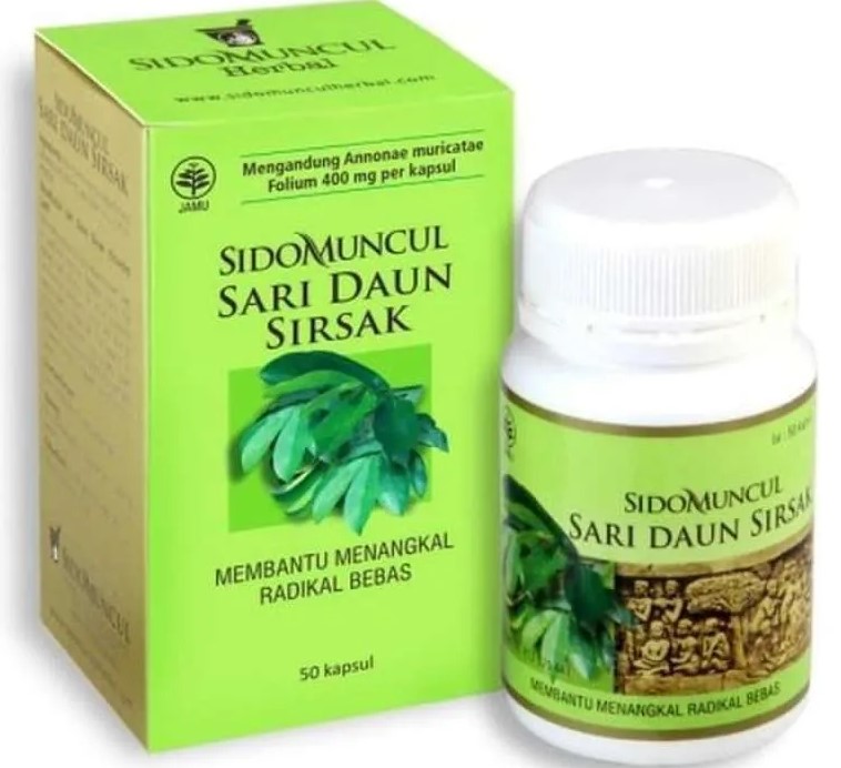 7 Obat Herbal untuk Asam Urat yang Ampuh Meredakan Nyeri Sendi