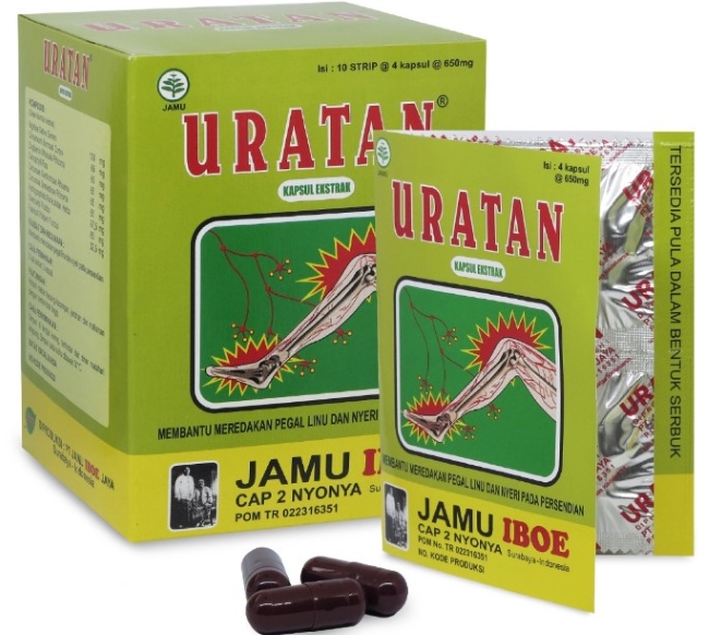 7 Obat Herbal untuk Asam Urat yang Ampuh Meredakan Nyeri Sendi