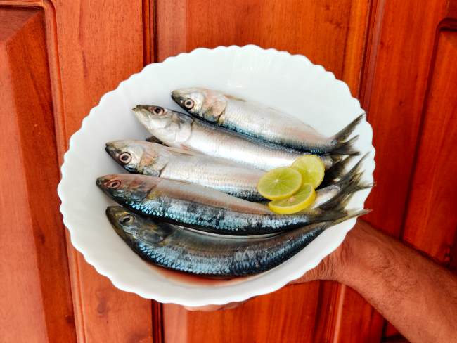Ikan Lemuru, Ketahui Nutrisi dan Manfaatnya bagi Kesehatan - Alodokter Ikan Lemuru, Ketahui Nutrisi dan Manfaatnya bagi Kesehatan - Alodokter