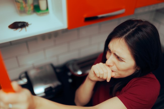 Entomophobia - Gejala, Penyebab, dan Pengobatan - Alodokter