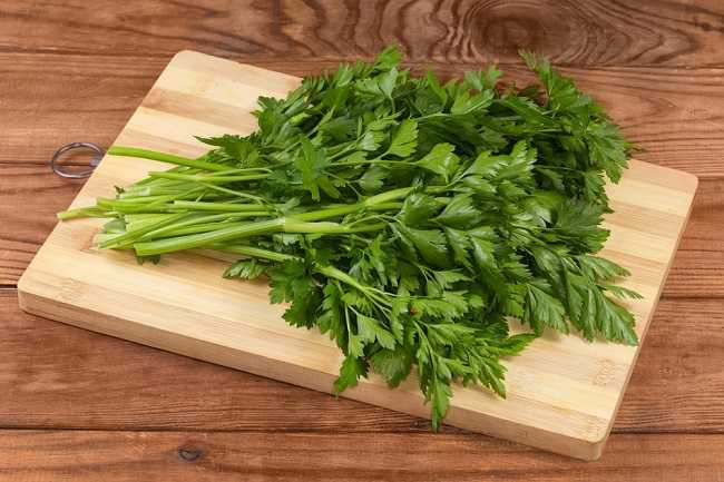 Parsley, Tanaman Herba yang Bermanfaat bagi Kesehatan - Alodokter