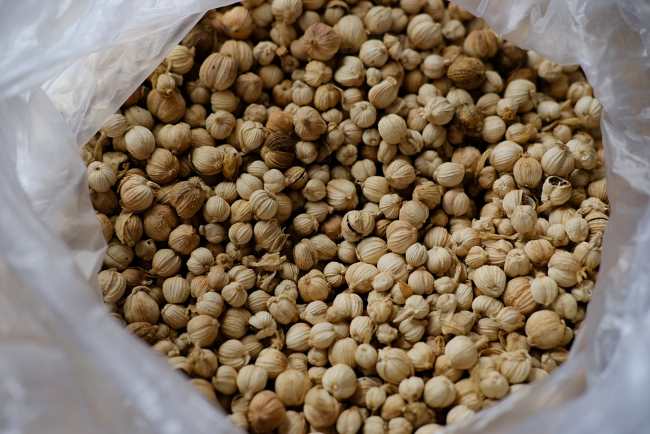 Kapulaga Jawa, Rempah yang Kaya Nutrisi dan Manfaat - Alodokter