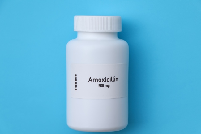 Holimox - Manfaat, Dosis, dan Efek Samping - Alodokter