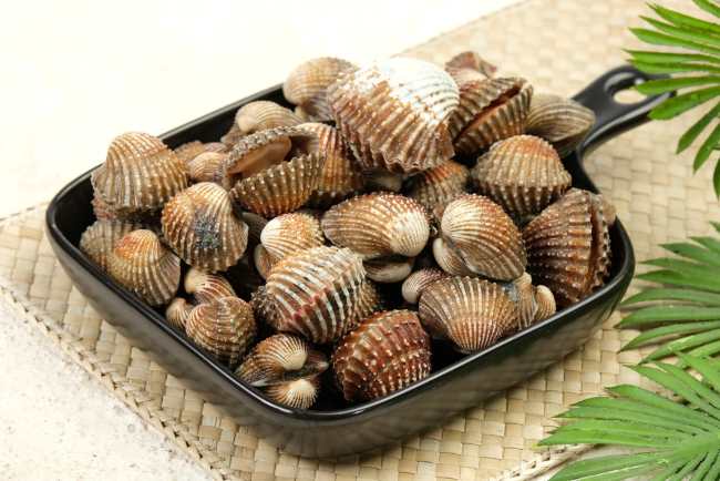 Kerang Dara, Ini Nutrisi, Manfaat, dan Cara Mengolahnya - Alodokter