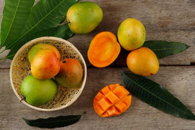 Mangga Gedong, Inilah Kandungan Nutrisi, Manfaat, dan Cara Mengolahnya ...