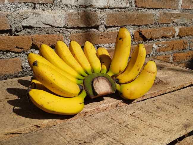 Pisang Emas