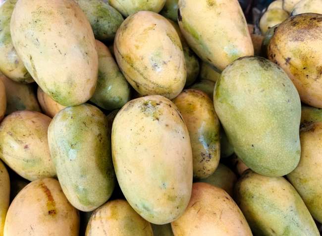 Mangga Udang, Ini Kandungan Nutrisi dan Manfaatnya bagi Kesehatan ...