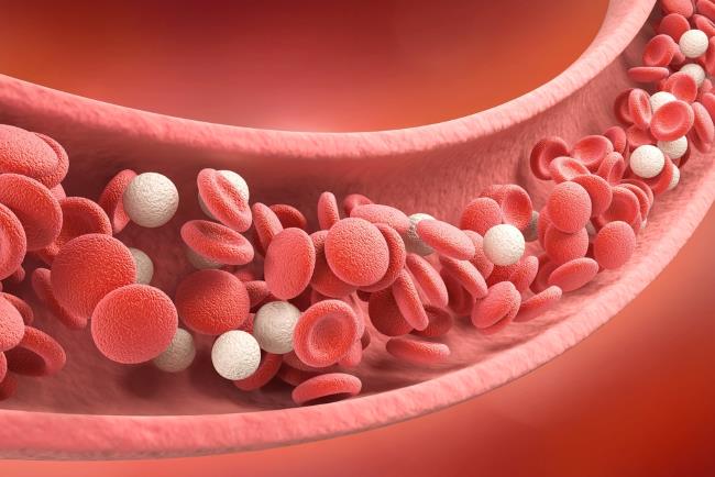 7 Fungsi Darah bagi Tubuh - Alodokter