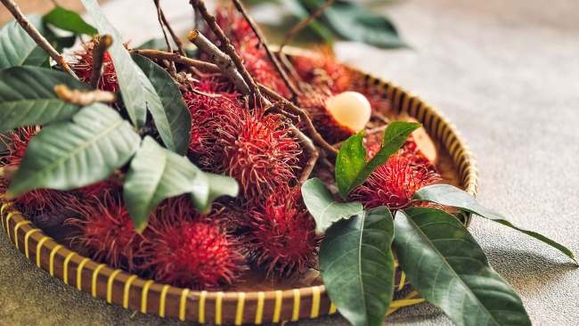 Rambutan Binjai, Ketahui Nutrisi dan Manfaatnya untuk Kesehatan - Alodokter Rambutan Binjai, Ketahui Nutrisi dan Manfaatnya untuk Kesehatan - Alodokter