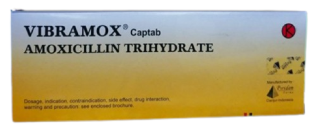 Vibramox - Manfaat, Dosis, dan Efek Samping - Alodokter