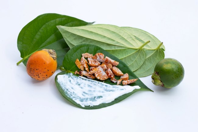 Kapur Sirih, Kenali Ragam Potensi Manfaat dan Tips Aman Penggunaannya ...