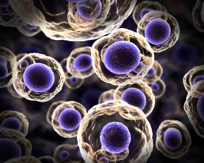 6 Fungsi Membran Sel untuk Kesehatan Tubuh - Alodokter