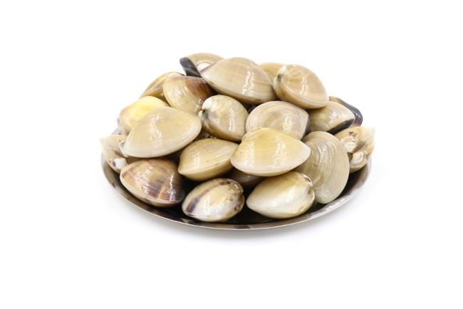 Kerang Putih, Inilah Kandungan Nutrisi dan Ragam Manfaatnya bagi ...