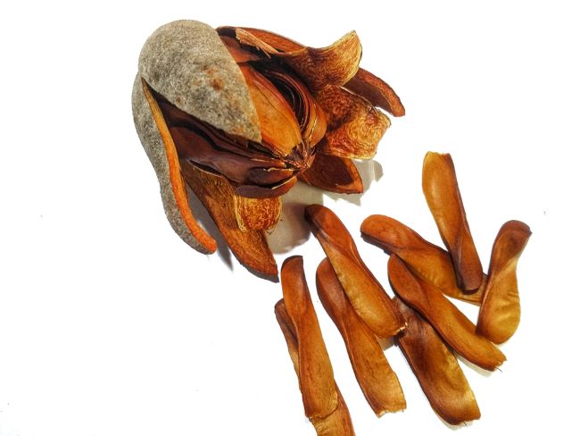 4 Manfaat Buah Mahoni untuk Alat Vital Pria dan Risiko Efek Sampingnya ...