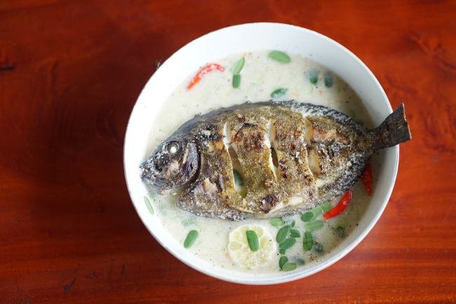 Ikan Sepat, Inilah Kandungan Nutrisi dan Manfaatnya bagi Kesehatan ...