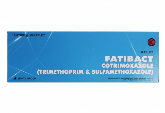 Fatibact - Manfaat, Dosis, dan Efek Samping - Alodokter