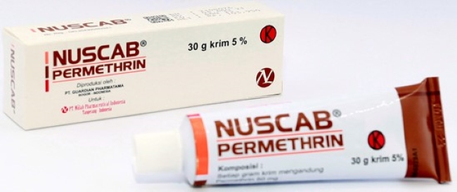 5 Obat Penghilang Kutu Rambut dan Telurnya yang Ampuh - Alodokter