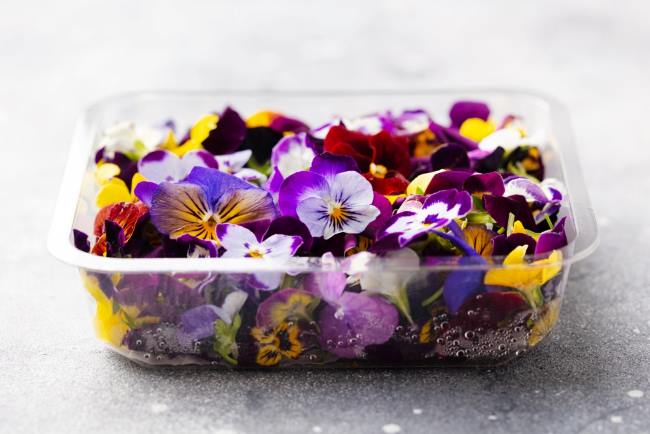 Daftar Bunga yang Bisa Dimakan, Beserta Manfaat dan Tips Mengonsumsinya ...