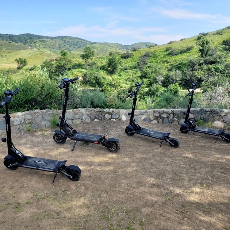 Miniwalker Electric Scooter