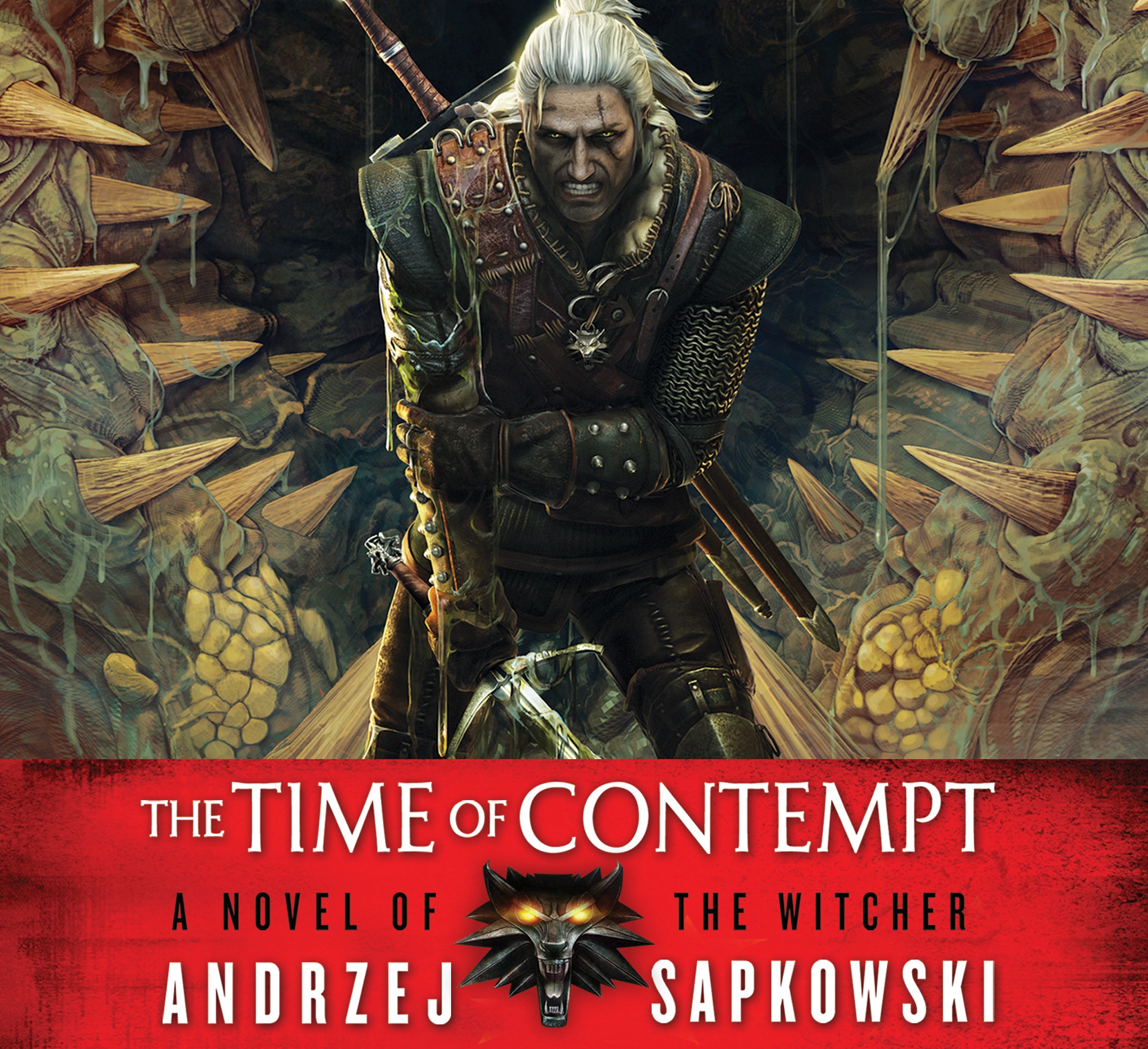 The Witcher Saga by Andrzej Sapkowski by Joris GRANEL