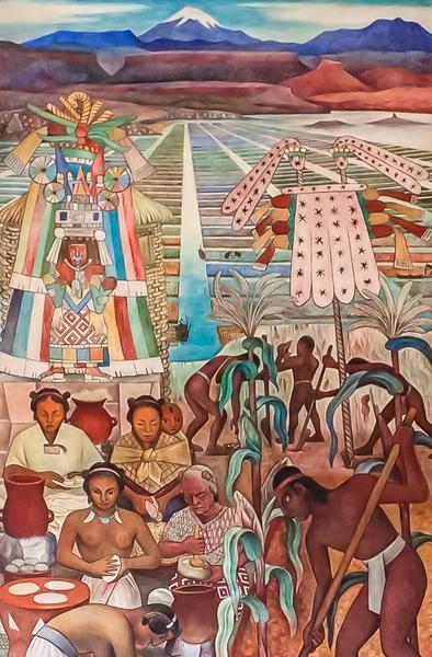 The rise and fall of the Aztec civilization by Emma Miller