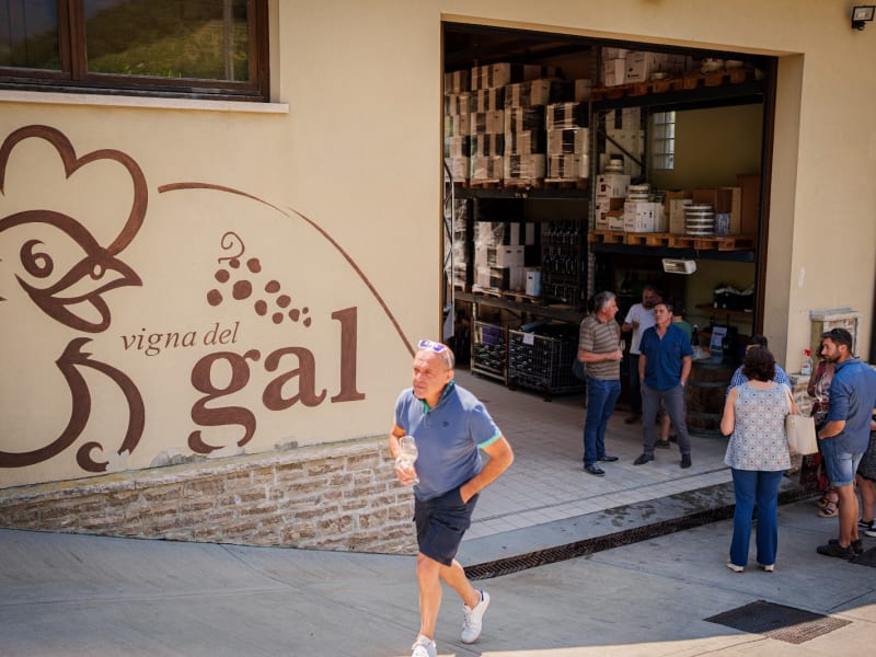 Vigna del Gal - Italy Winery Guide
