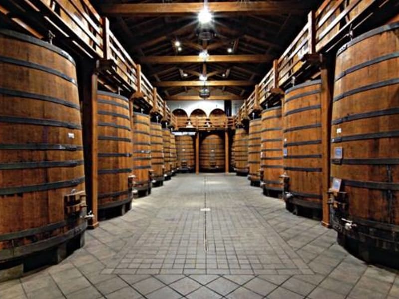 Cantine Patria - Italy Winery Guide