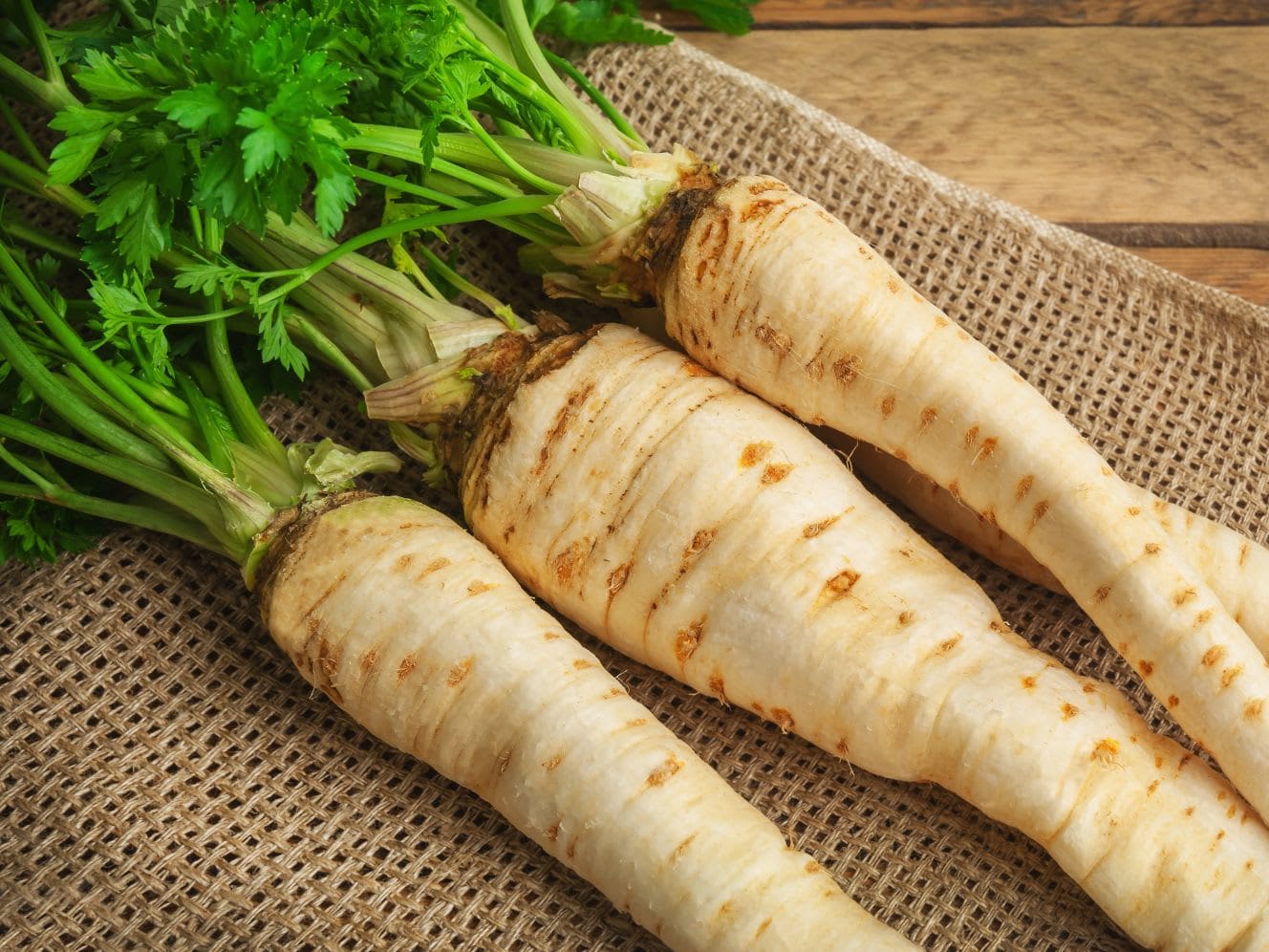 Persillerot | Norgro AS