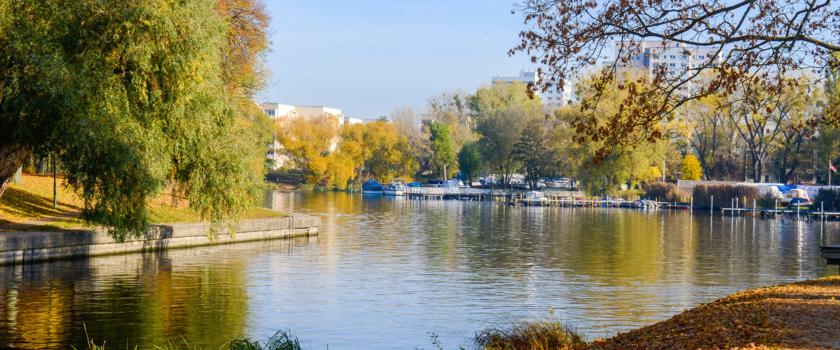DIX HILLS Dix Hills Neighborhood Guide | Douglas Elliman