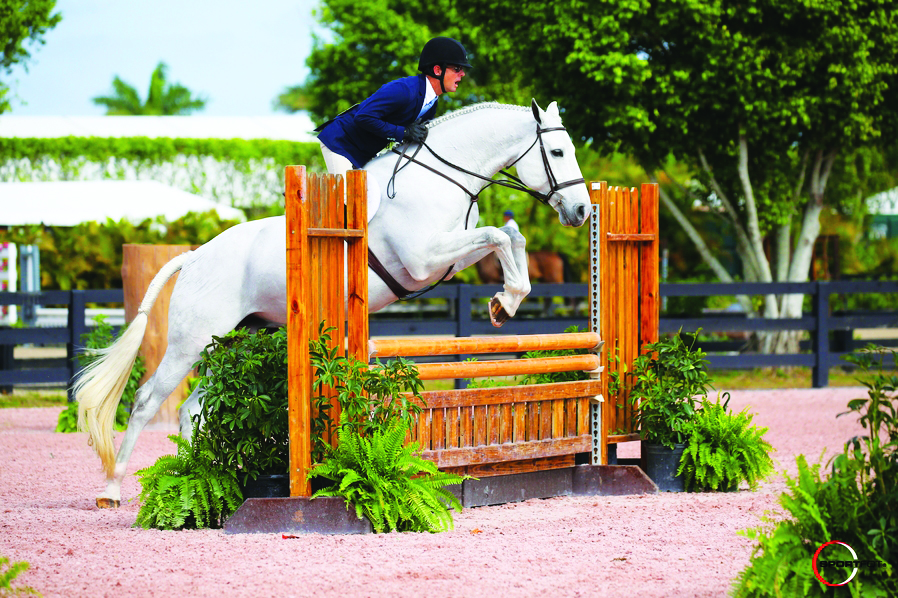 Out of the Saddle: Q&A with Equestrian Peter Pletcher