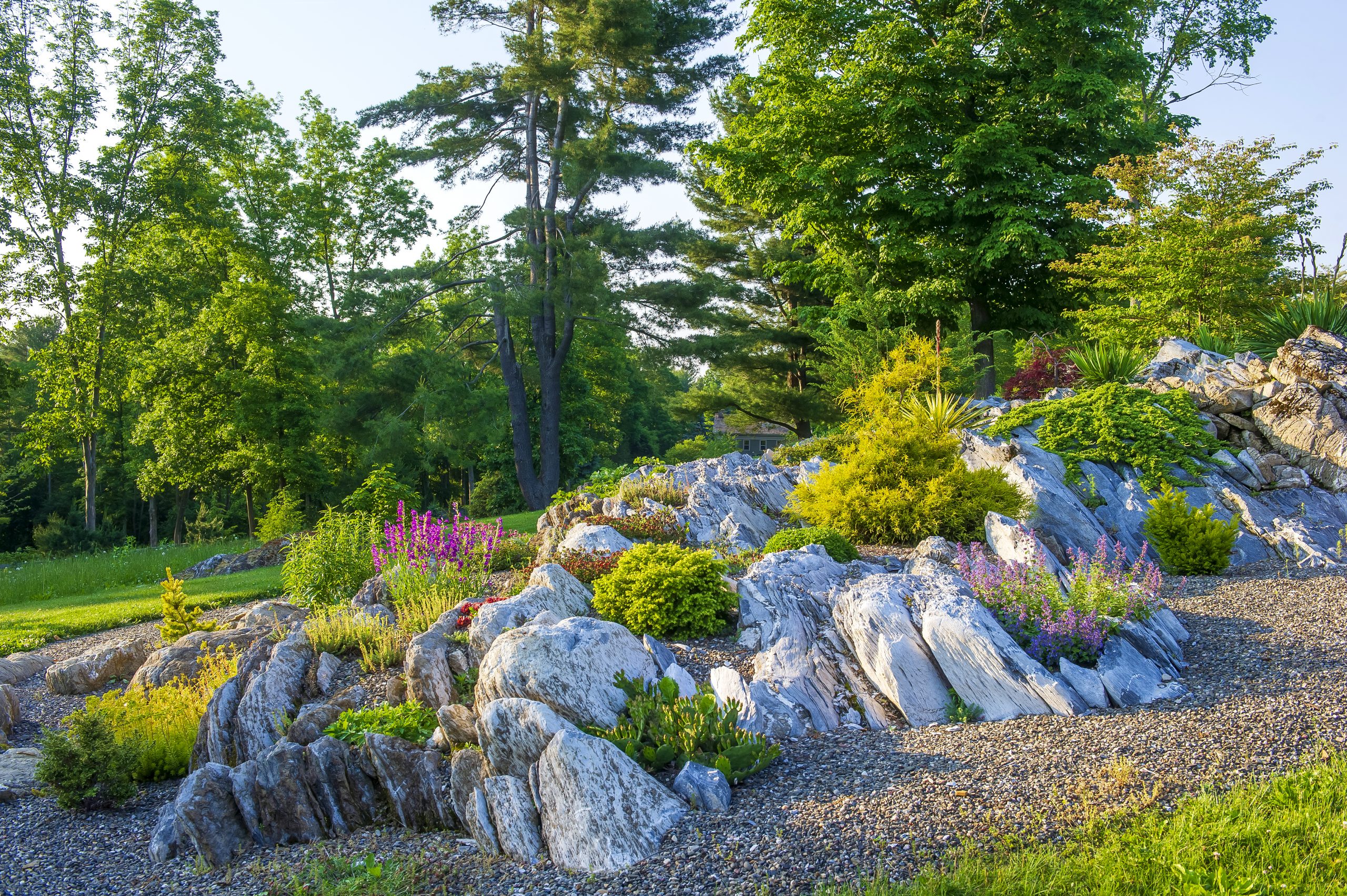 Rocky, Rugged Floral Wonders: Crevice Gardens Celebrate Sustainability