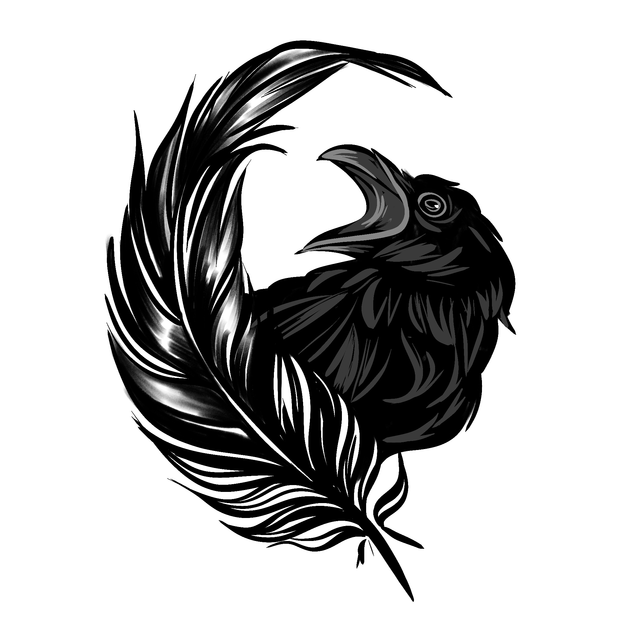 Pluma de Cuervo | Obras de Gabriel P.