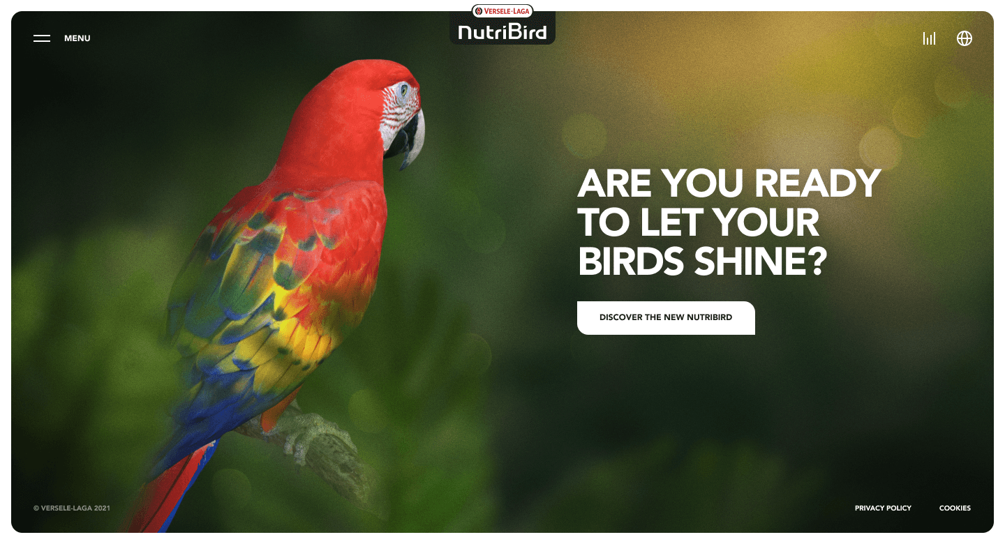 Glenn Catteeuw - Visual Designer