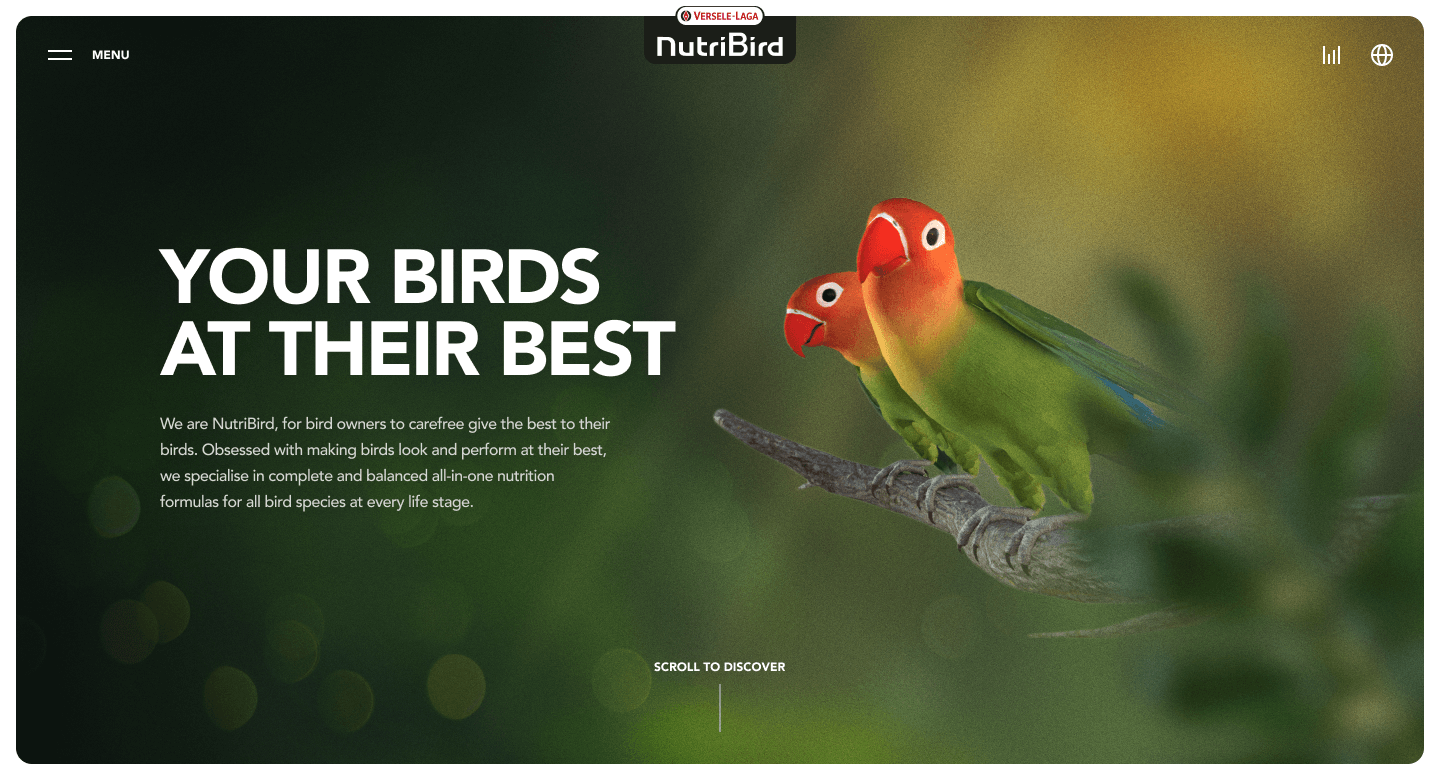 Glenn Catteeuw - Visual Designer