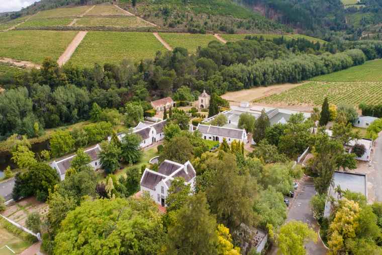 Historic Morgenhof Wine Estate to be auctioned for the first time after ...