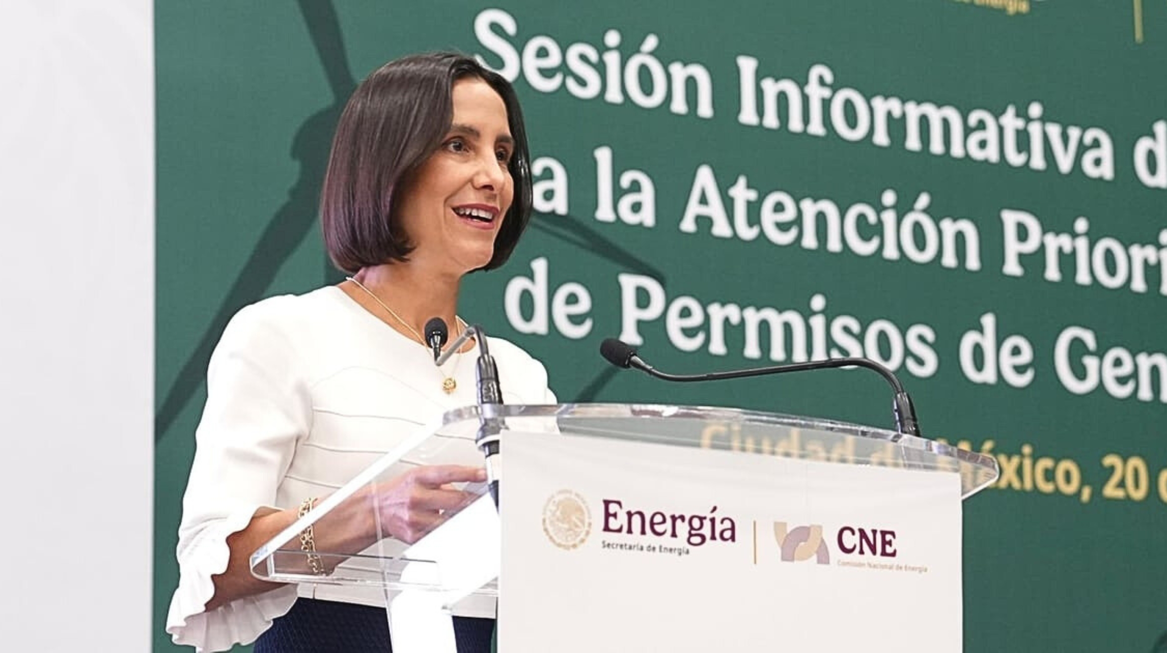 Gobierno de México lanza convocatoria al sector privado para viabilizar ...