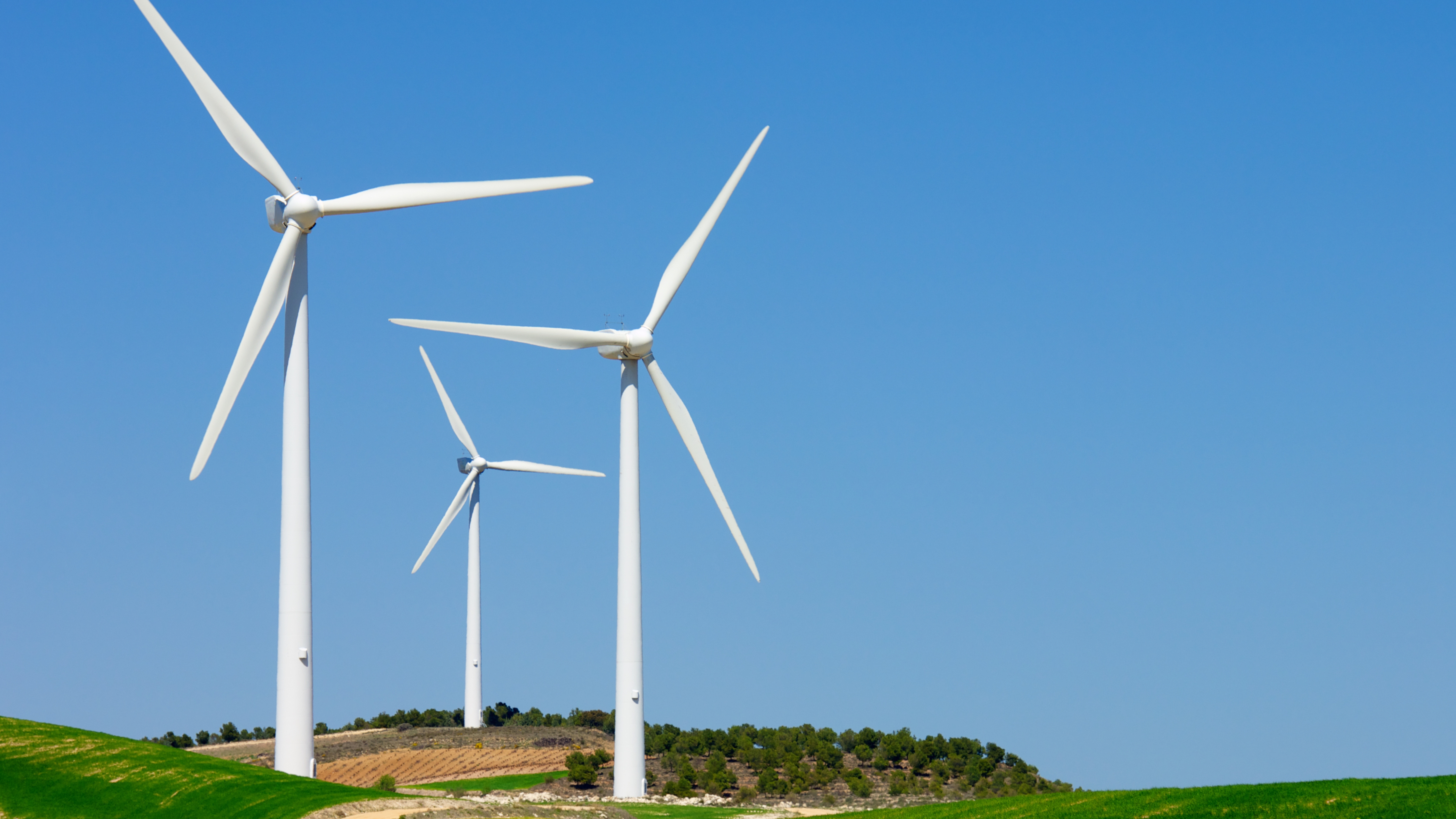 Global wind energy grows 40%: 165 GW installed in 2025 which markets ...