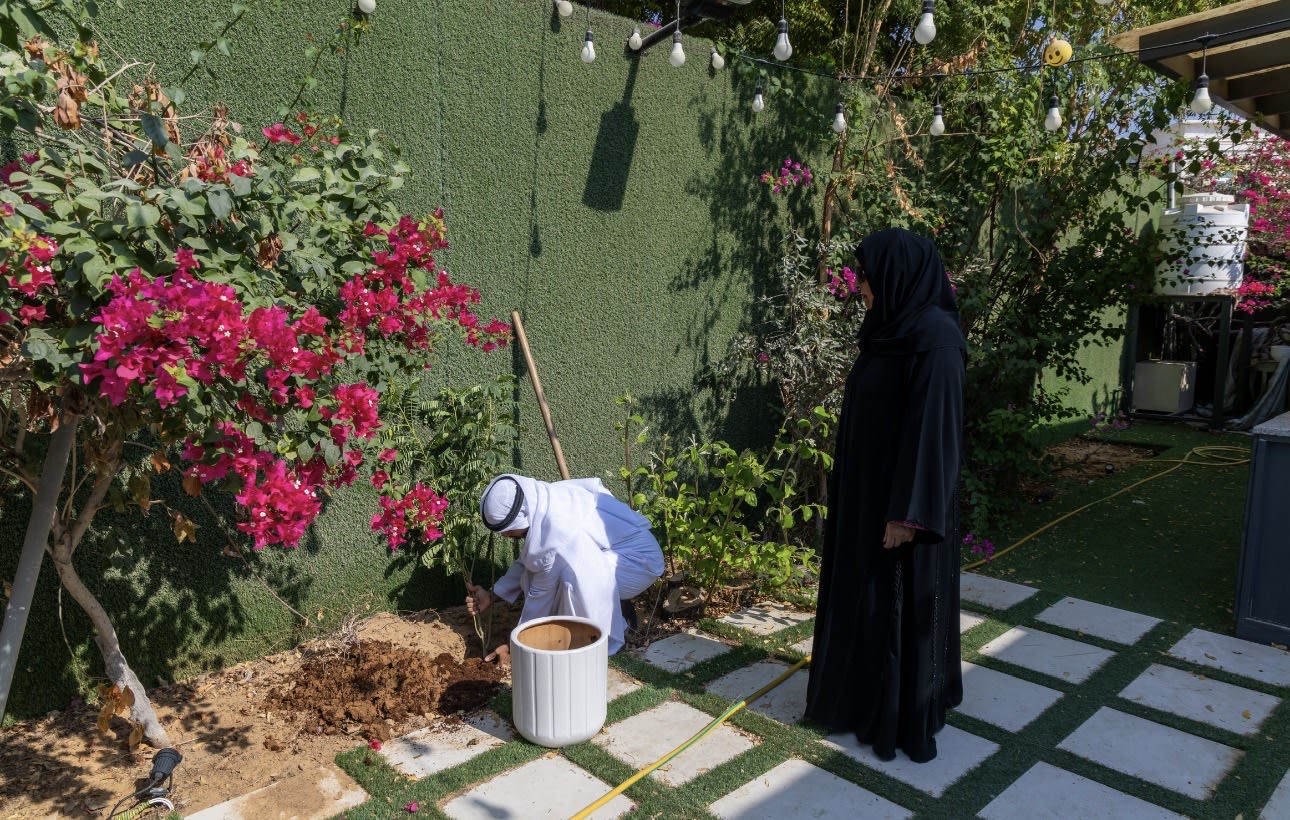 Ajman Excellence Program Launches Community Environmental Initiative to ...