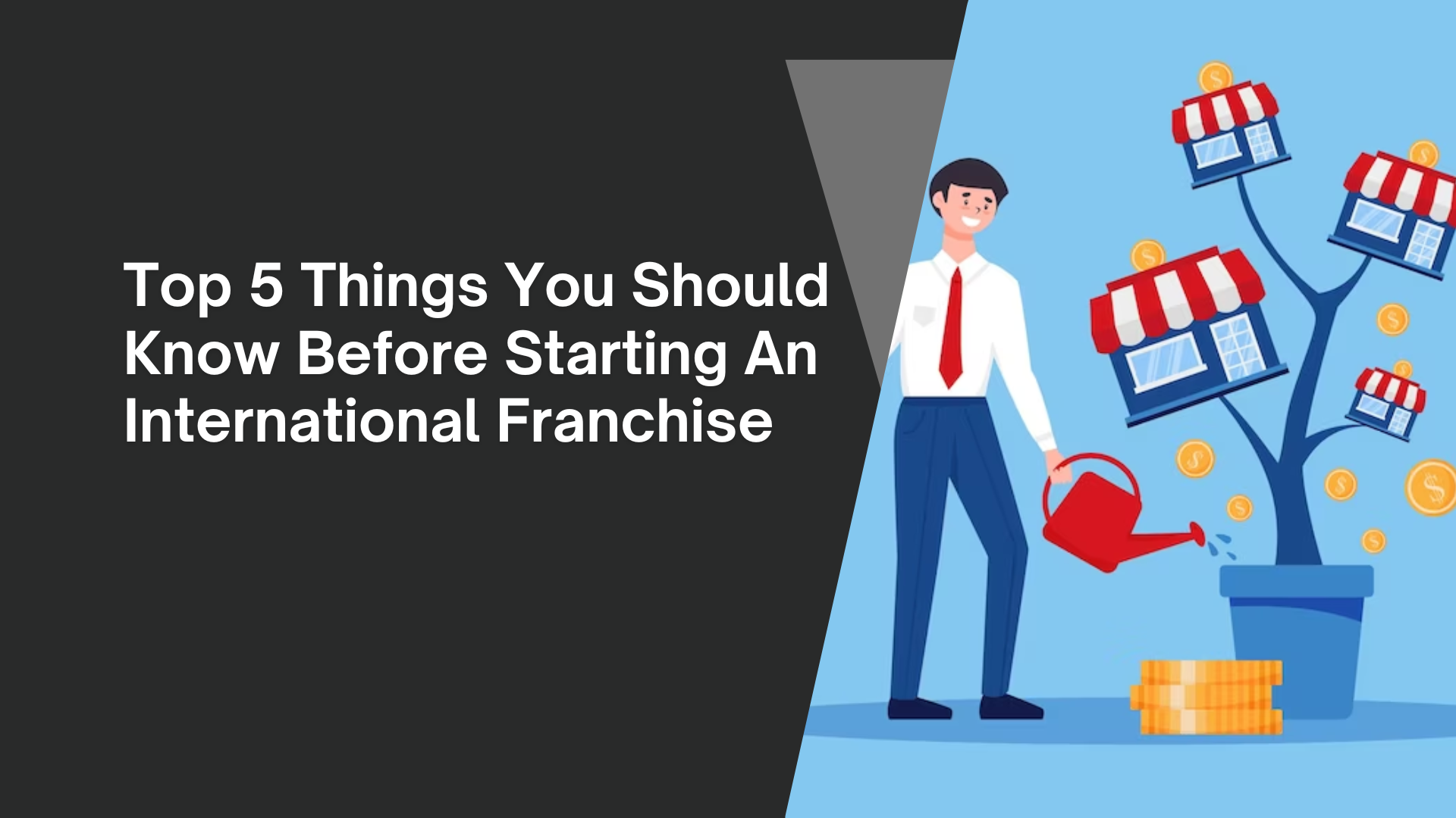 Top 5 Things You Should Know Before Starting An International Franchise ...