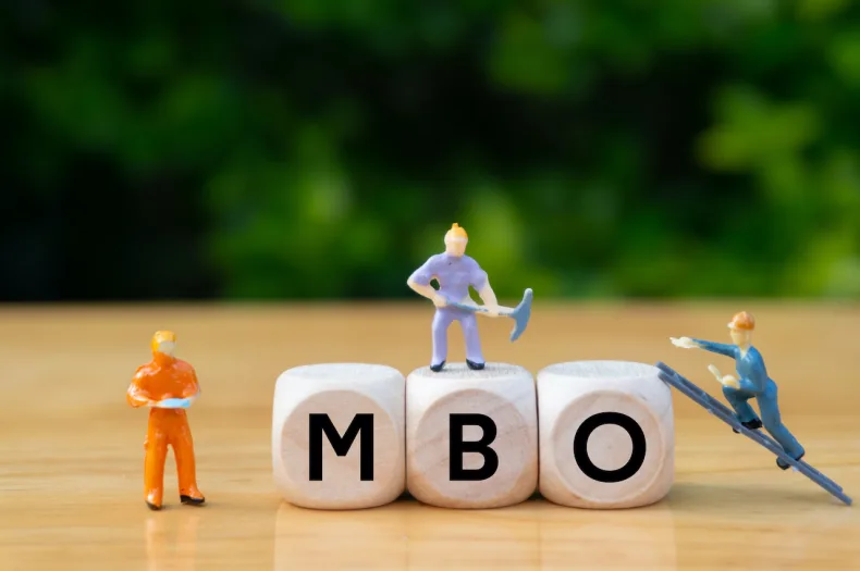 Management buy-out (MBO): Wat is het? En waar op letten?