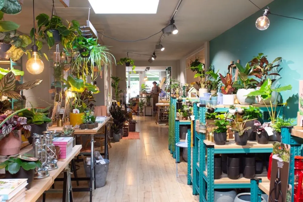 Te koop: Winkel gespecialiseerd in balkoninrichting | Brookz®