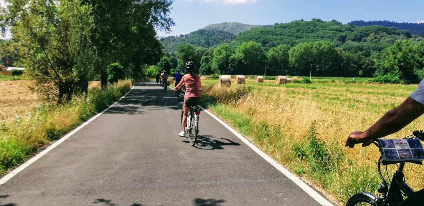 Lucca: Self-Guided Bike Tour to the Wine Roads near San Piero a Grado ...