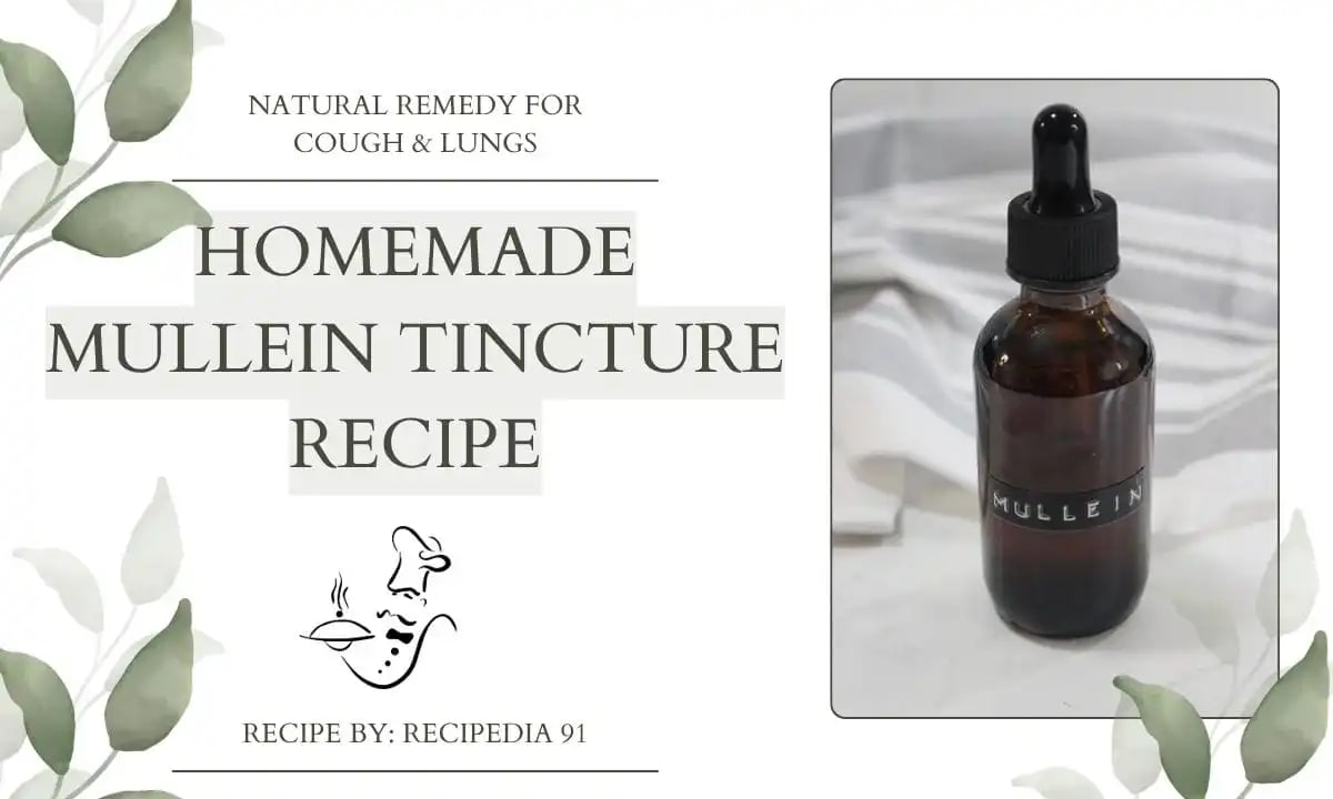 Exclusive Homemade Mullein Tincture Recipe [2026]
