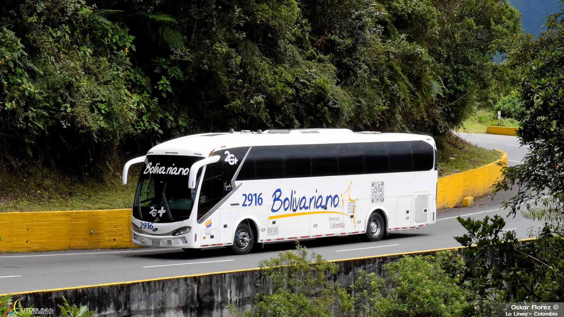 Autobuses de Colombia - ¡Mucho más para ver!