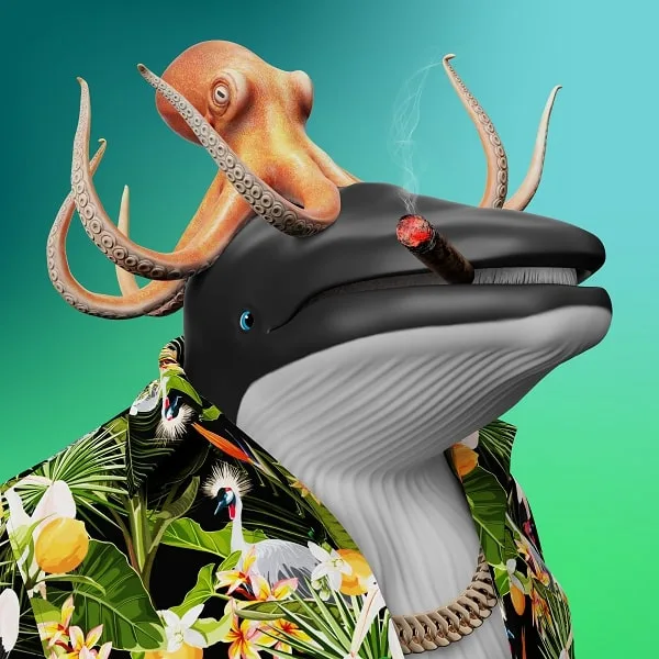 Wonder Whale NFTs | JPG Store